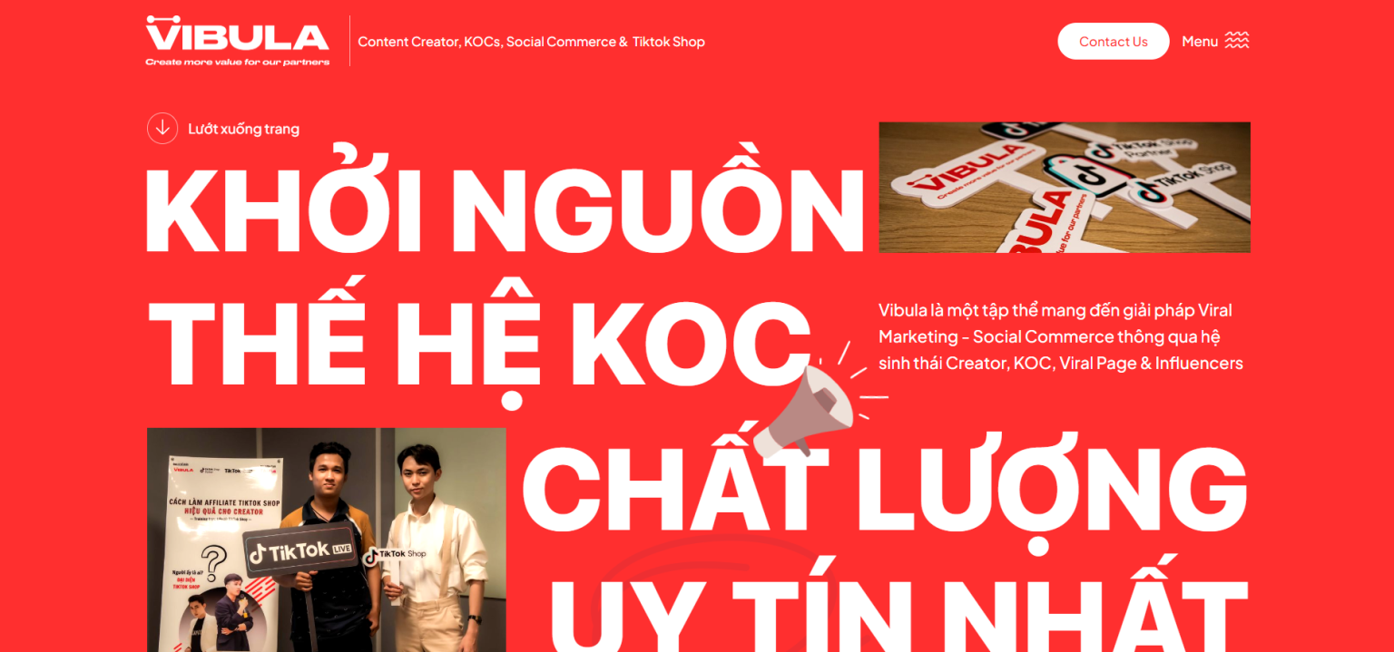 Top 9 Network TikTok Tại Việt Nam Bạn Không Thể Bỏ Qua